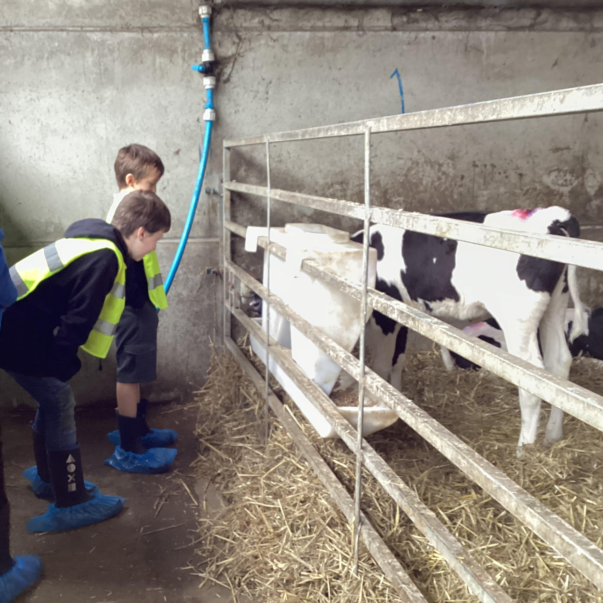 Young Chefs on the Farm - Fonthill Foundation